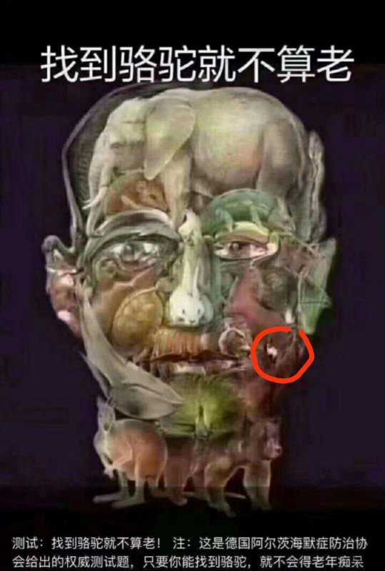 找到骆驼就不算老图片 有图片怎么找到原图 找到你图片 大山谷图库
